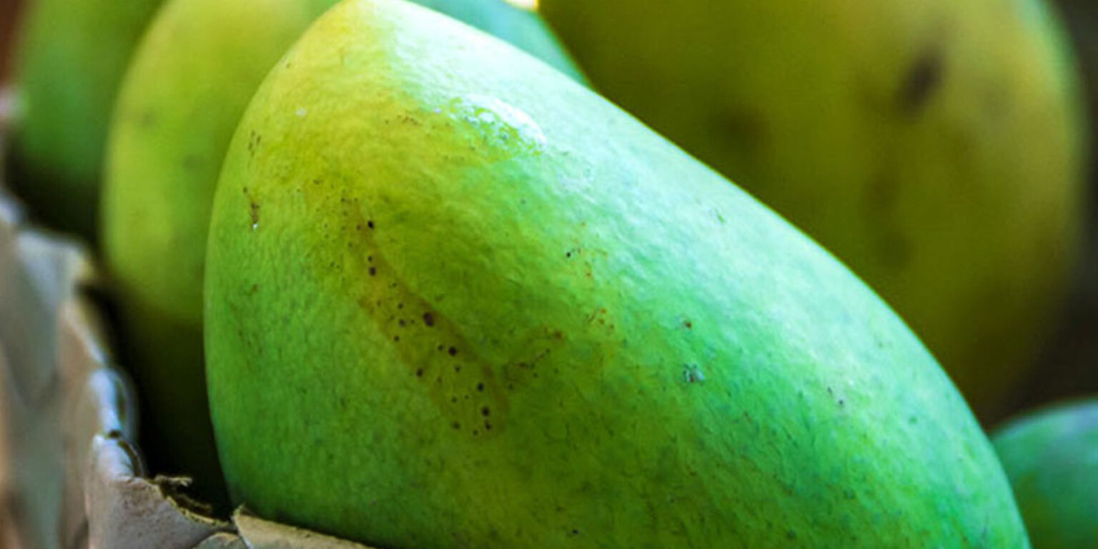 Products – Behold Bataan