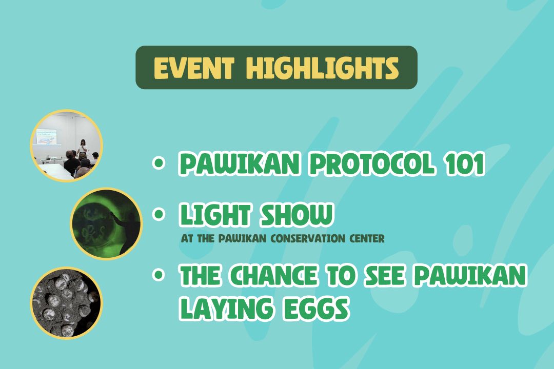 Pawikan Night Patrol – Behold Bataan